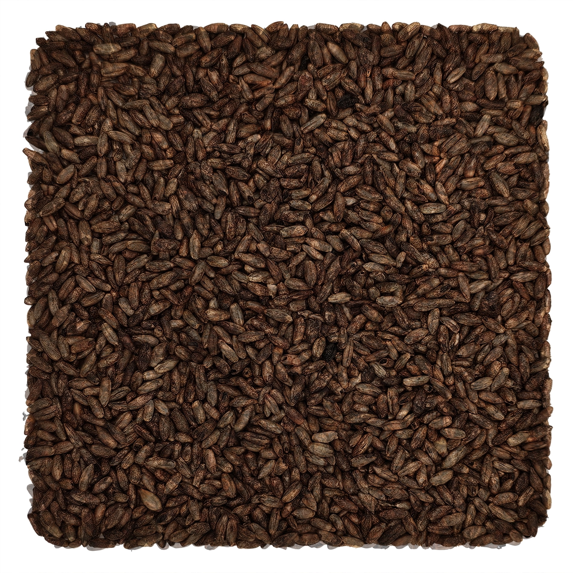 Home Brew Ohio Weyermann Chocolate Rye Grain 55lb - Walmart.com