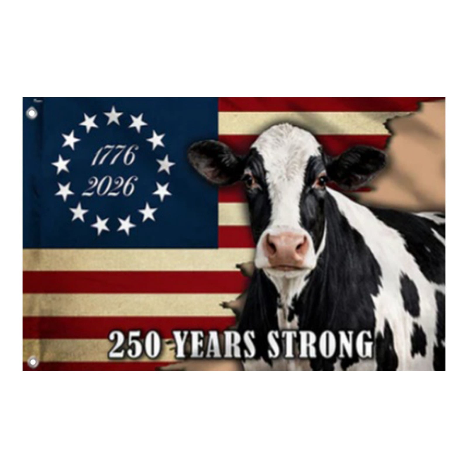Home Decor Anniversary Commemorative Flag 250th Celebrating Historic ...