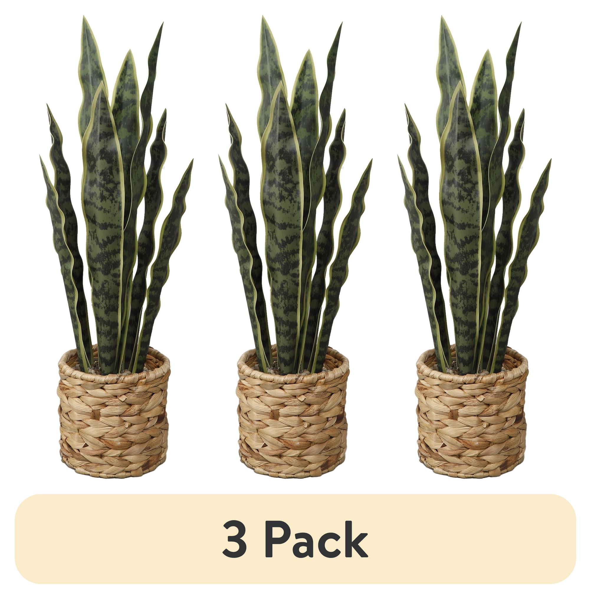 (3 pack) Home Decor Collection Flora Bunda 24.3" Artificial Snake Plant ...