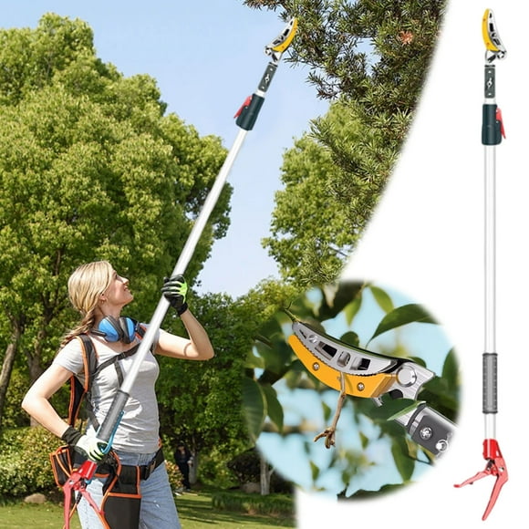 Extendable Tree Loppers