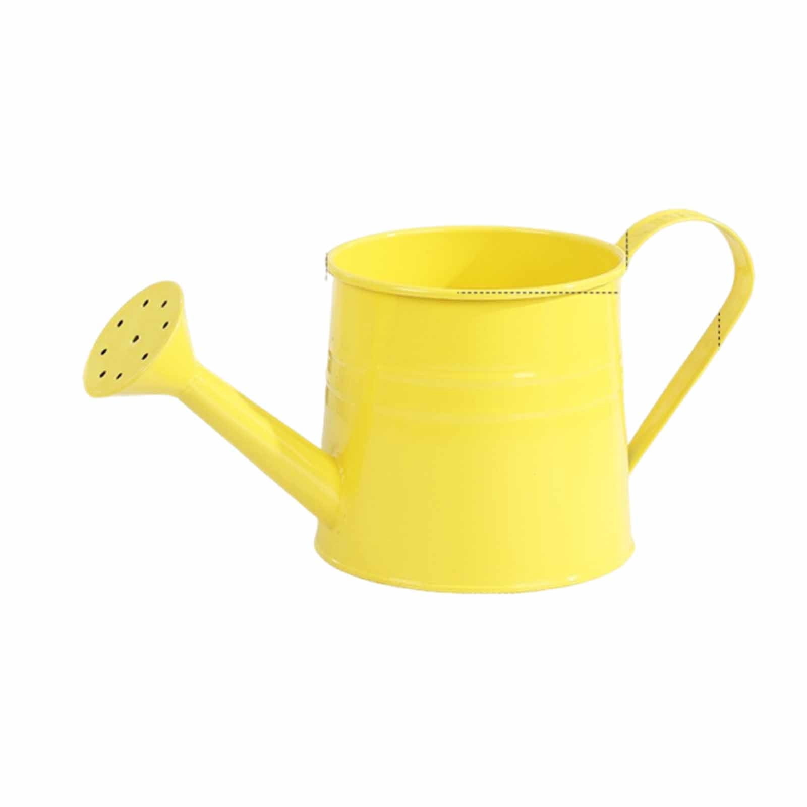Home Decor Metal Watering Can for Indoor 1L Garden Sprinkling Can with ...