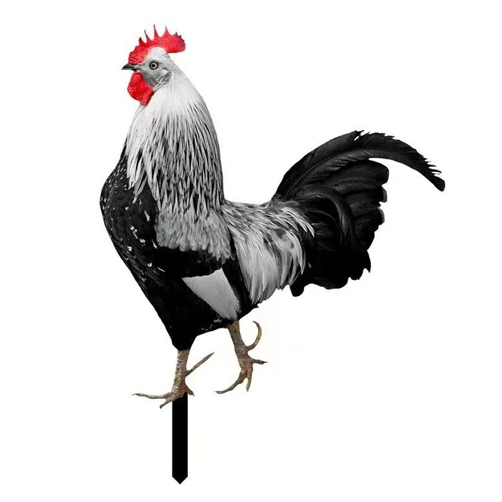 Home Decor Vibrant Acrylic Rooster Sculpture Outside Statues for Yard ...