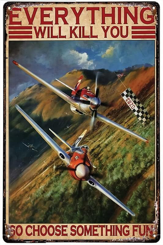 Home Decoration Tin Signs Air Racing Everything Will Kill You So Choose ...