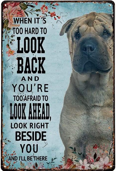 Home Decoration Tin Signs Salsa Flamenco Easily Distracted by Music and ...