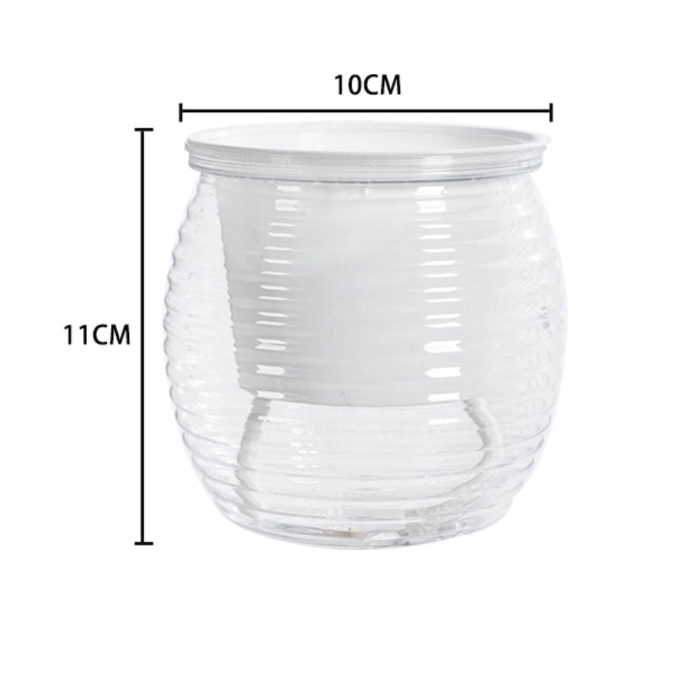 Home Decorations Creative Automatic Water-Absorbing Plastic Hydroponic ...