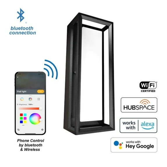 Home Decorators Rockwood Black Wall Lantern Sconce, RGB Color Changing ...