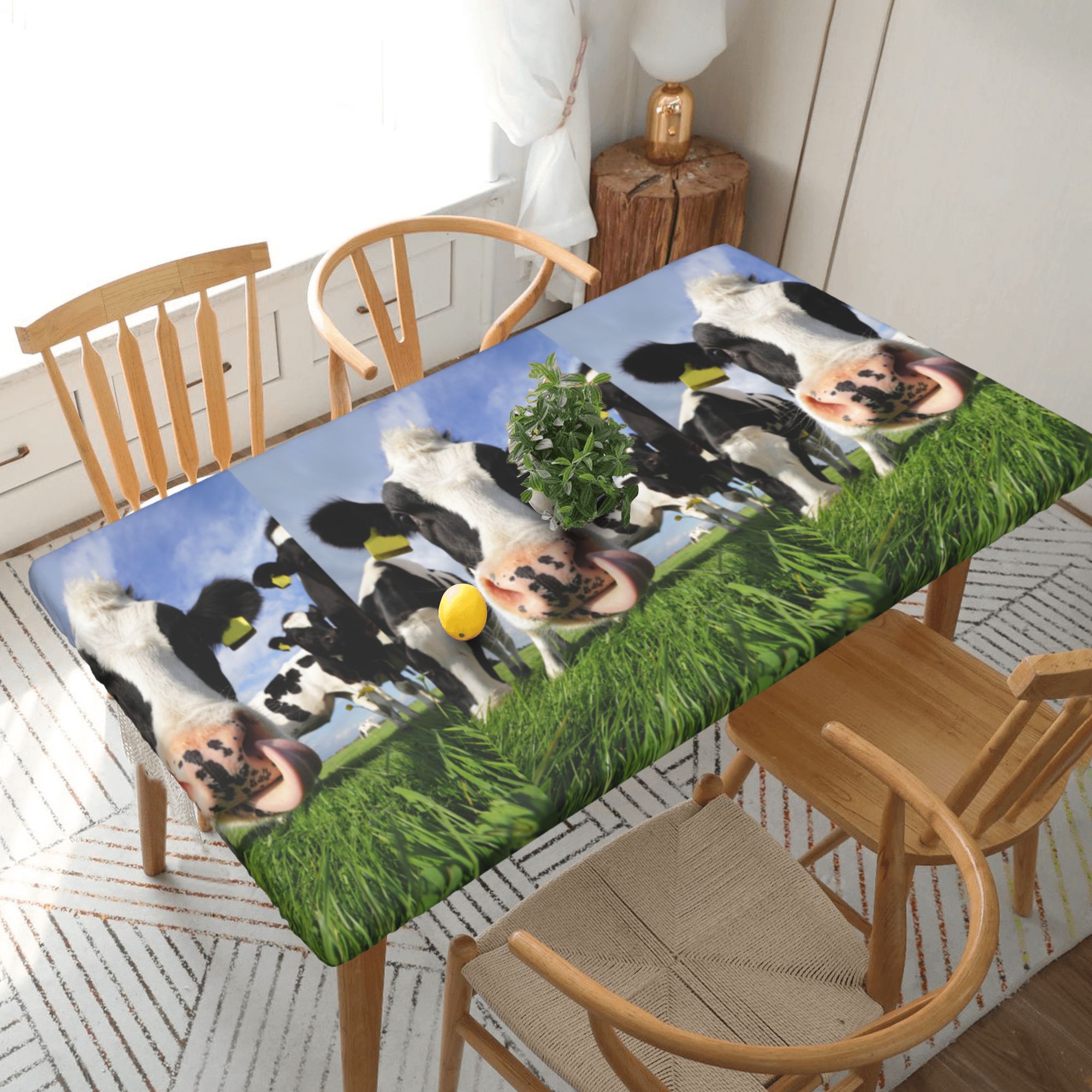 Home Deluxe Tablecloth Holstein Cow In Field Waterproof Elastic Rim ...