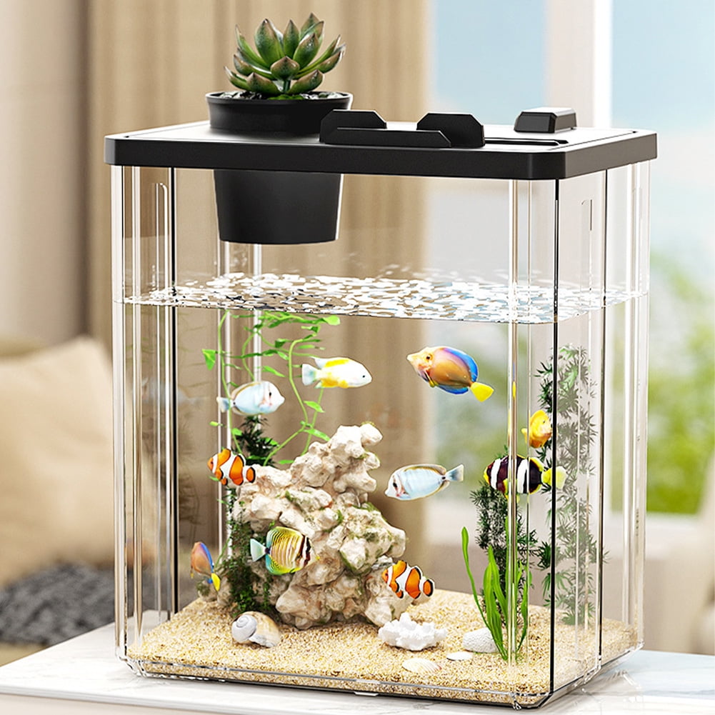 Home Fish Tank Starter Kit, Acrylic Aquarium Fish Tank, Rectangular ...