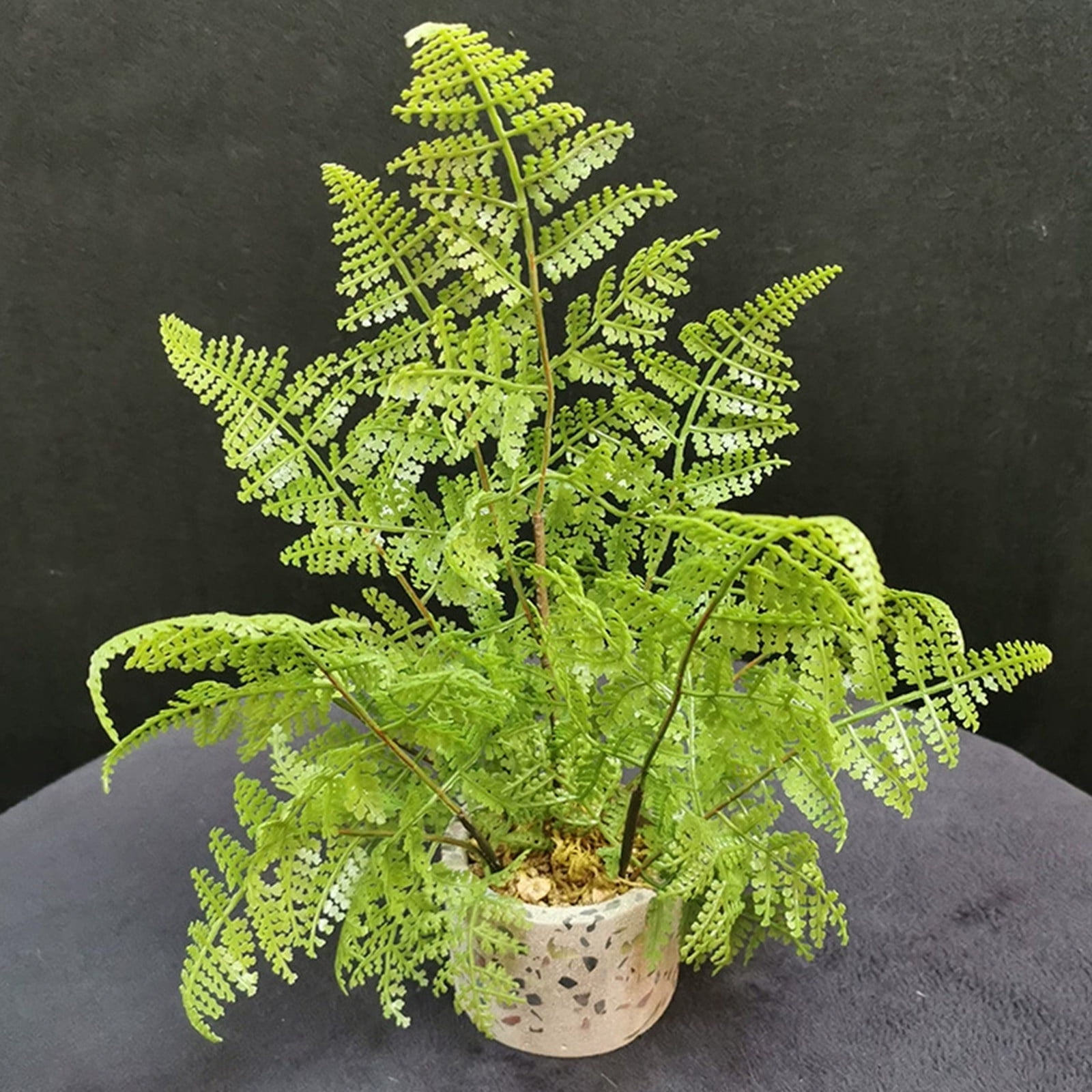 Home & Garden Soft Fern Drop-in, Artificial Decor Plastic Ferns Plant ...