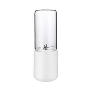 Brentwood 50-Watt 17-Oz. Portable Battery-Operated USB-Chargeable Glass ...