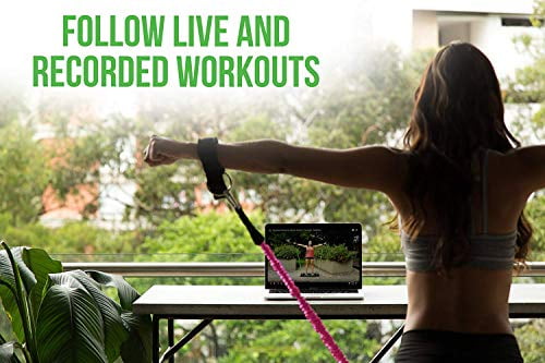 Home Gym 2.0 - Full Portable Gym Home Workout Package, Includes a Set ...