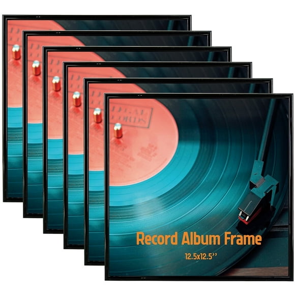 Vinyl Record Frame