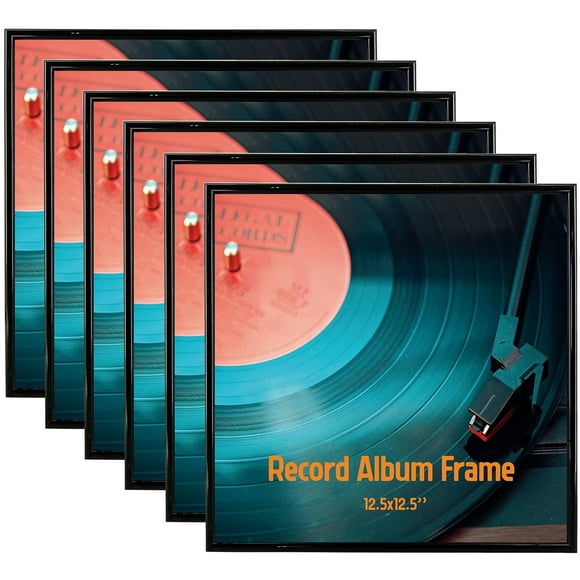 Vinyl Record Frame