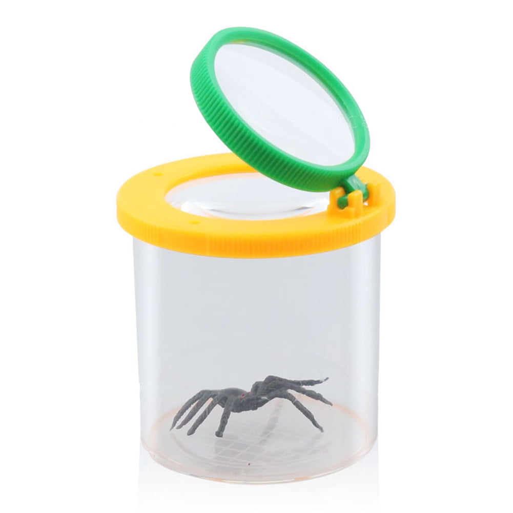 Home Magnifying Glass Children Crawler Spider Insect Observation Box 3X ...