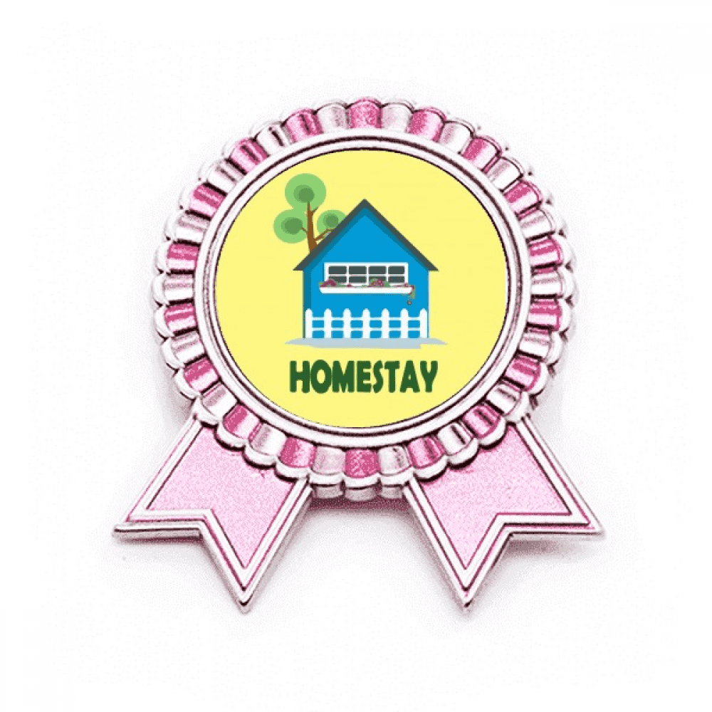 Home Office Active Isolation Badge Brooch Pin Pink Winner Award Medal ...