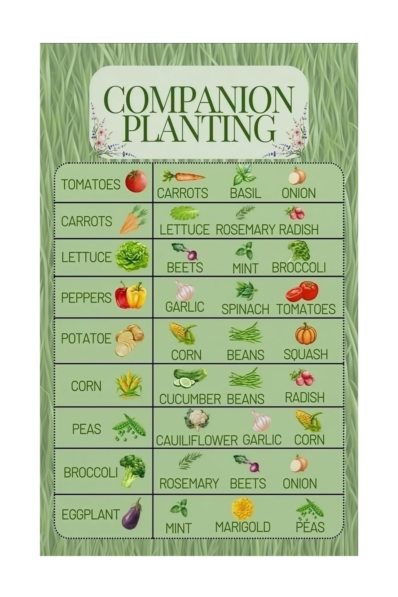 Home Office Study Room Classroom Decor Garden Companion Planting Chart ...