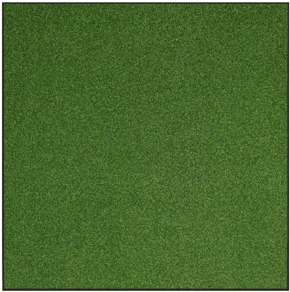 Home Queen Outdoor Gras Oversize Area Rugs for Pets Decks, Patio's ...