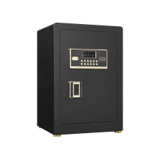 Electronic Digital Safe