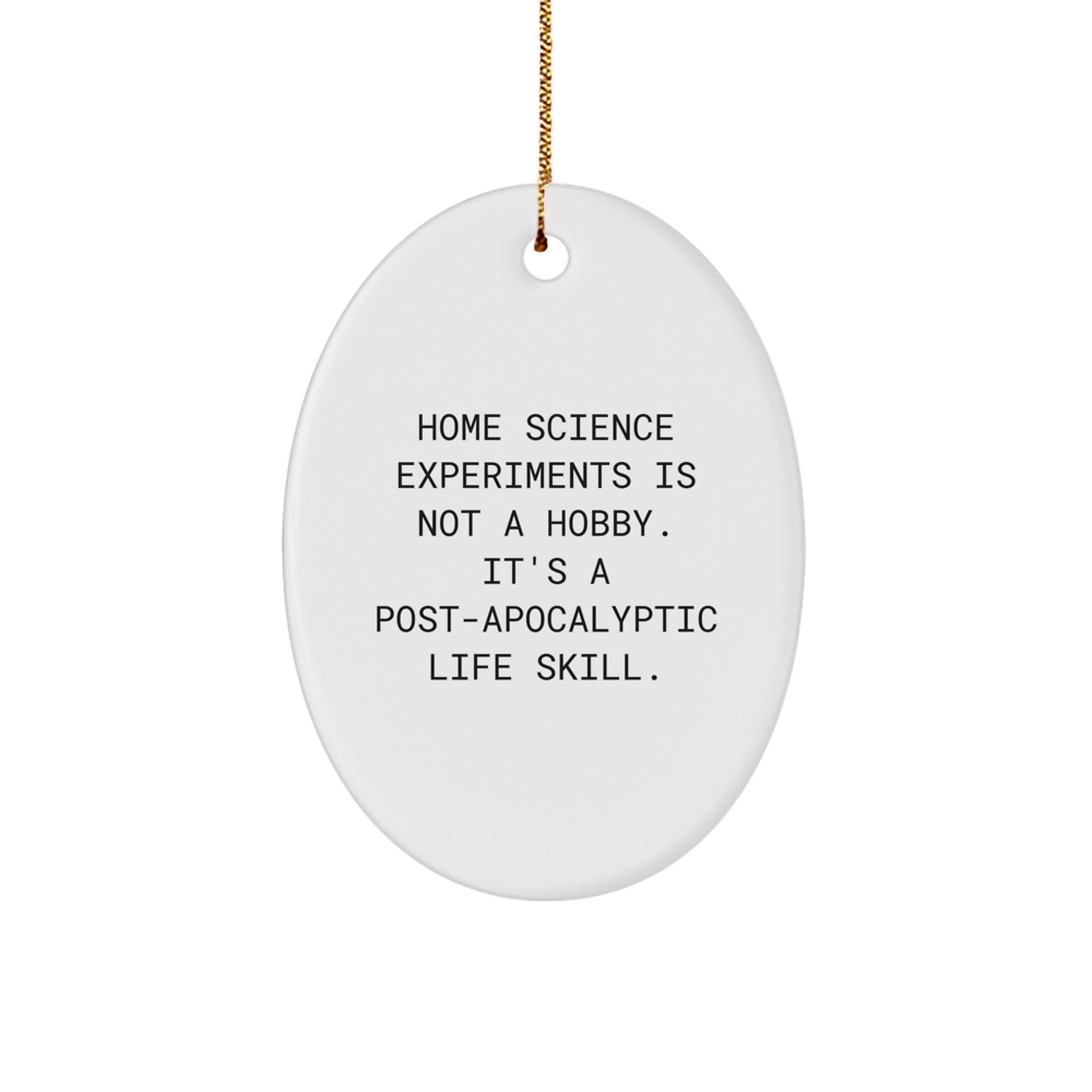 Home Science Experiments Gifts for Men - Funny Oval Ornament, Science ...