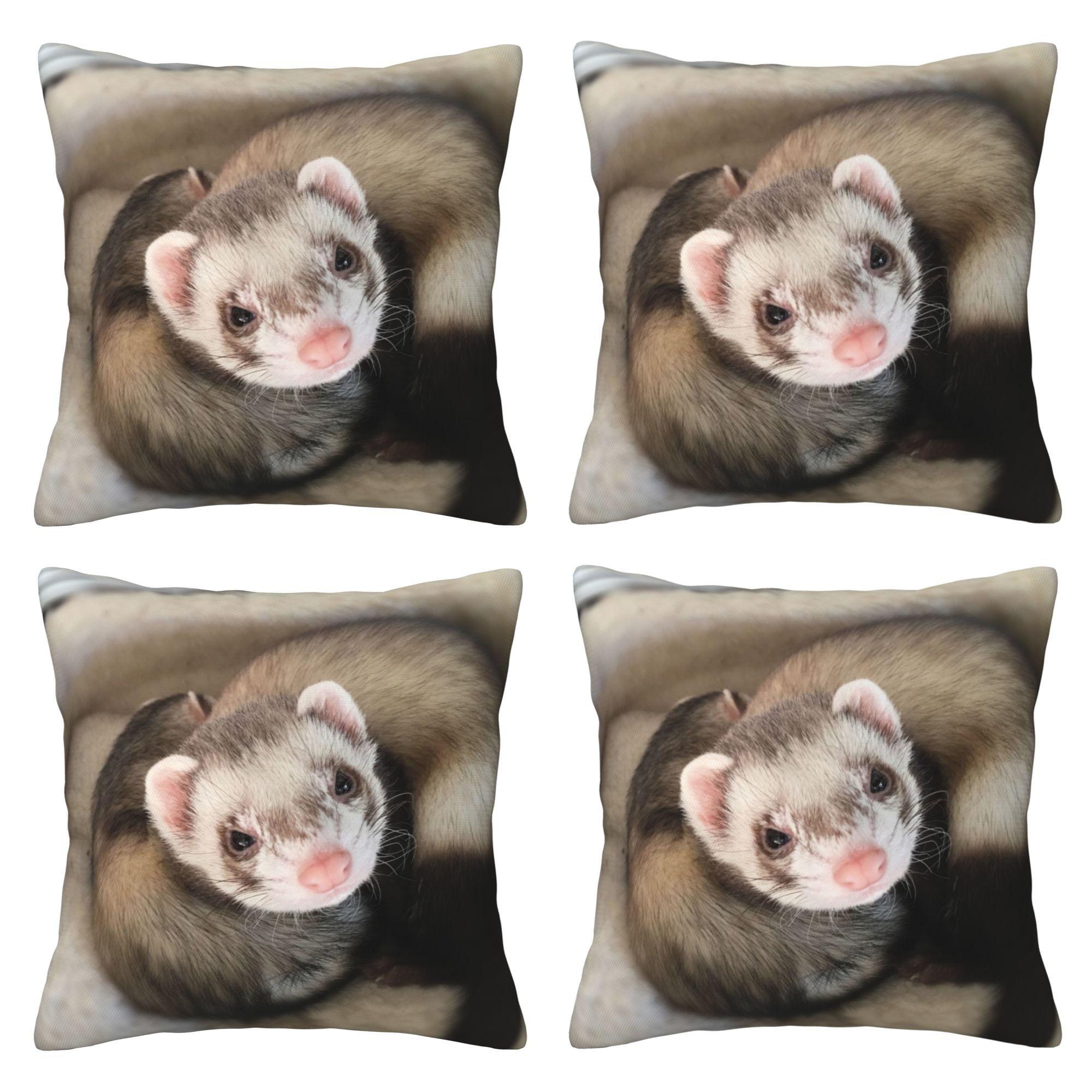 Home Throw Pillow Covers Two Sides Printed Special Cute Ferret Decor ...