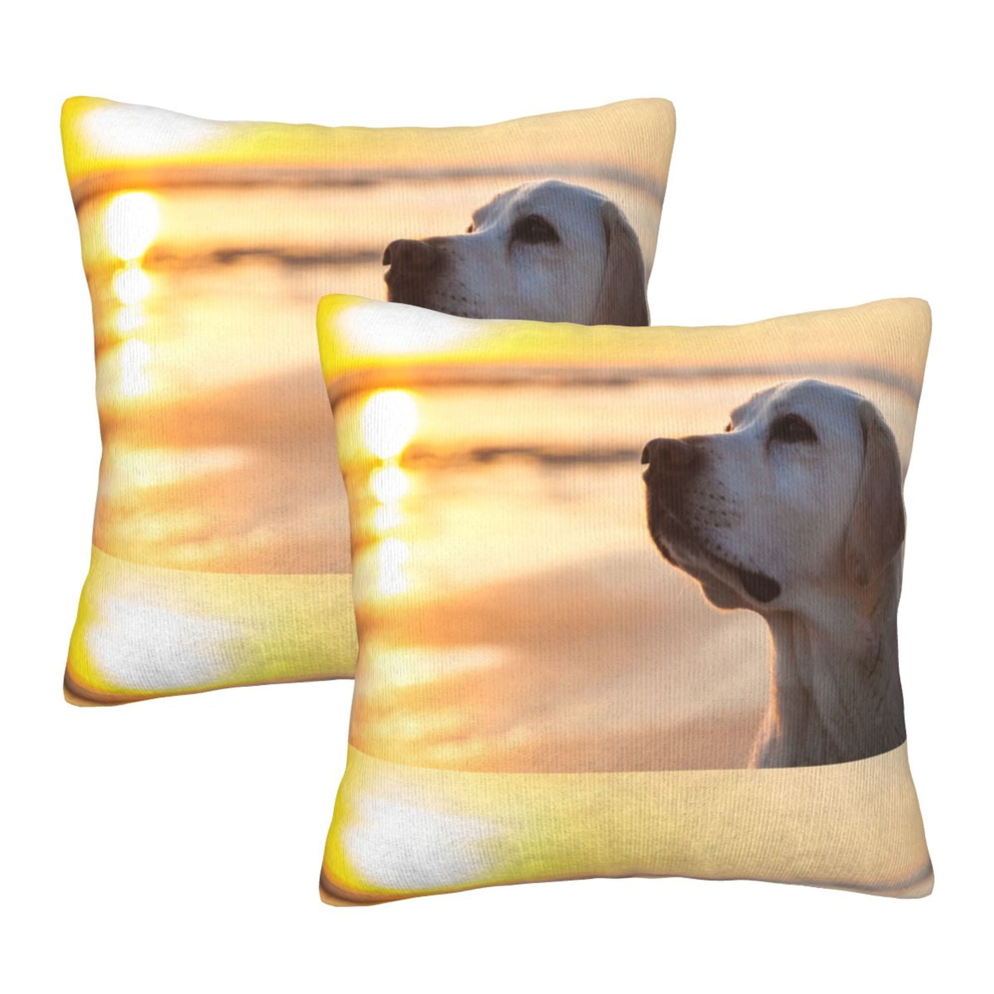 Home Throw Pillow Covers sunset-Labrador-Retriever-muzzle Square Thick ...