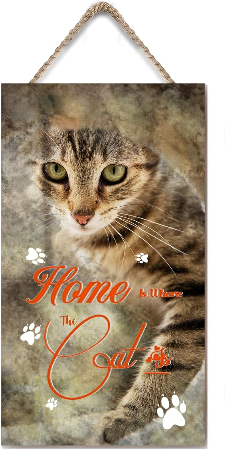 Home is Where The Cat is Wooden Hanging Sign Funny Animal Wall Art Chic ...