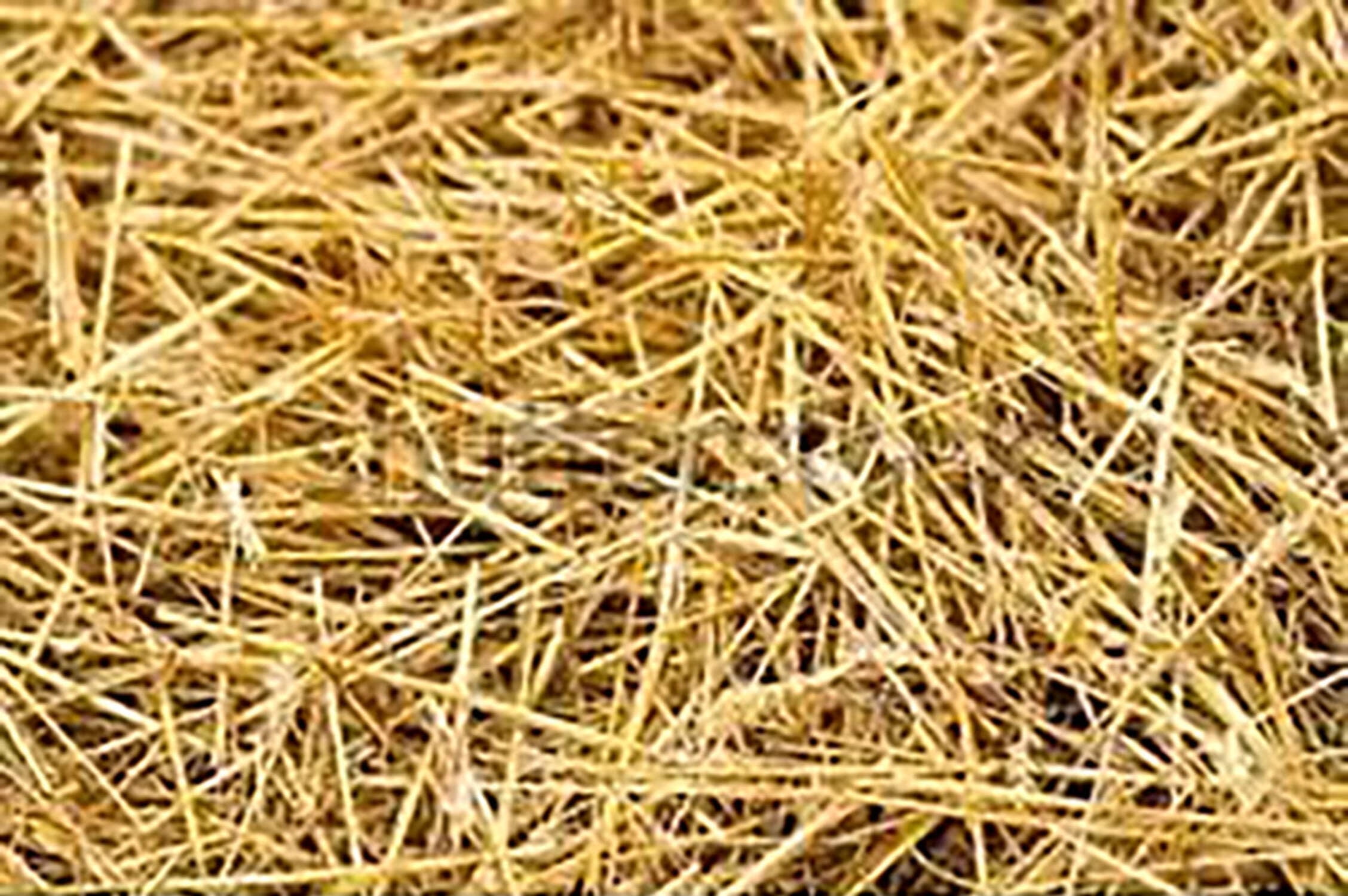 Home and Country USA Organic Natural Premium Garden Straw for Compost ...