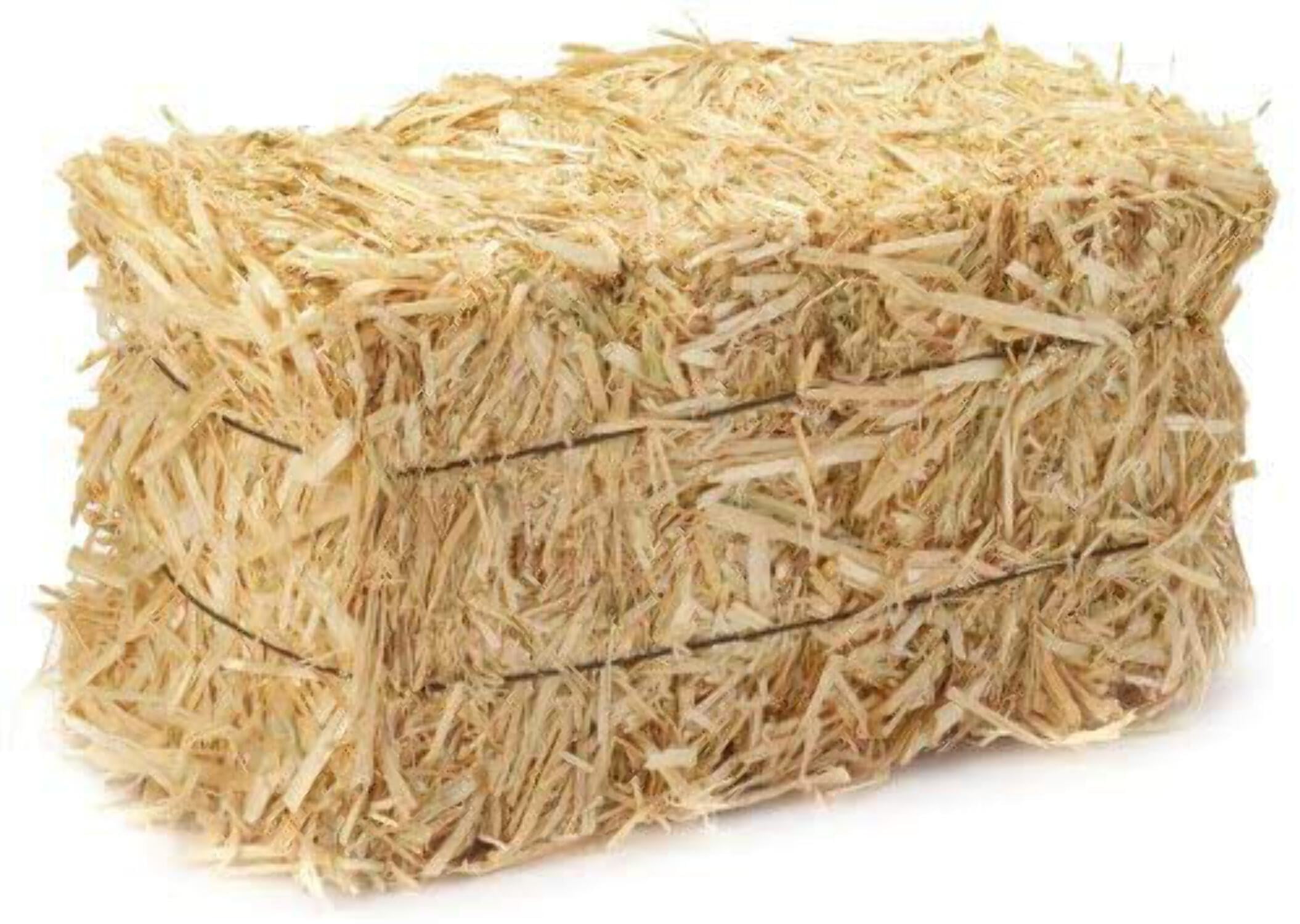 Home and Country USA Real Full Size Straw Bale, 35" x 19" 12", for ...