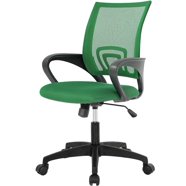 Mainstays Ergonomic Mesh Back Task Office Chair with Flip-up Arms ...