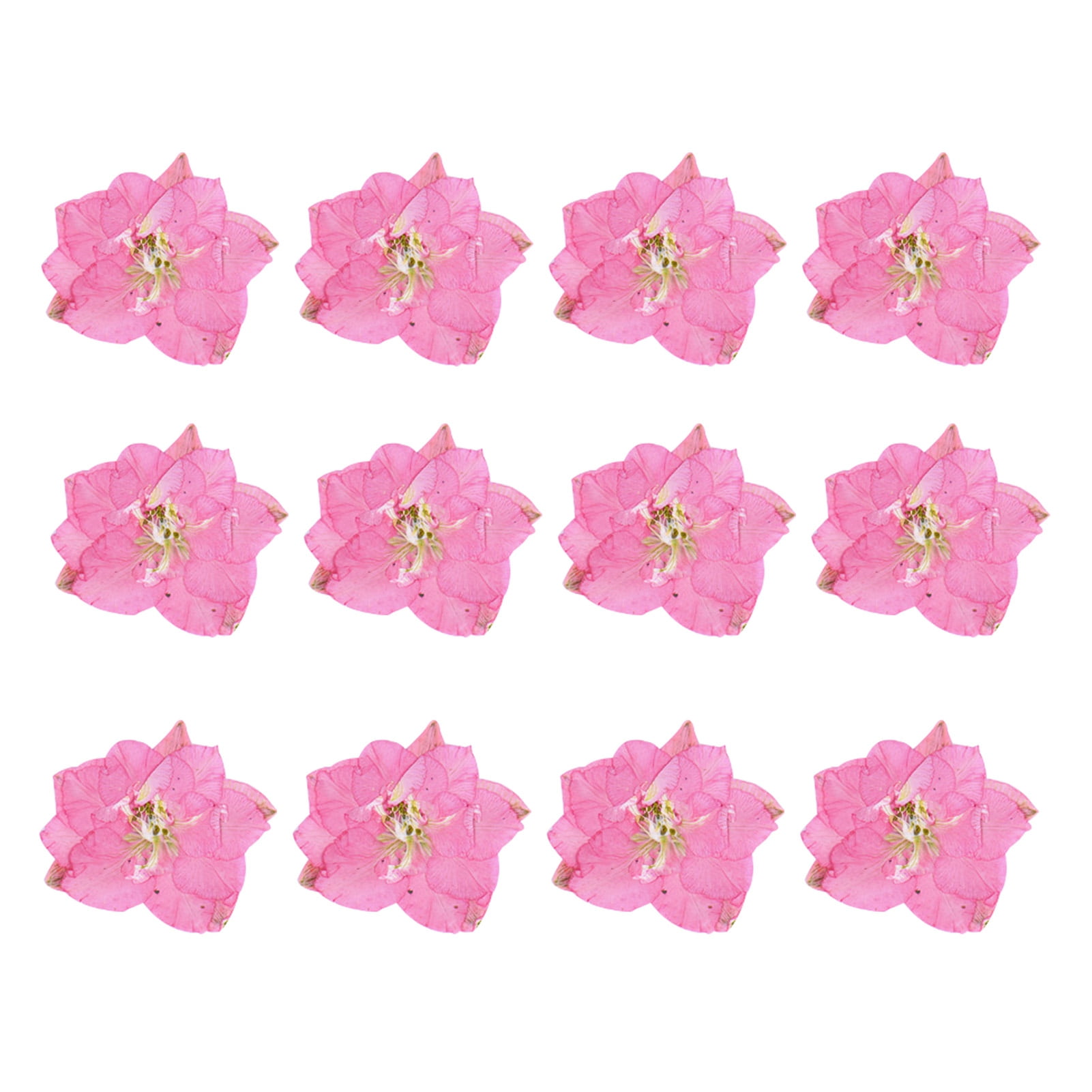 HomeCozy 12Pcs Dried Flowers Epoxy Resin DIY Creation Long-lasting ...