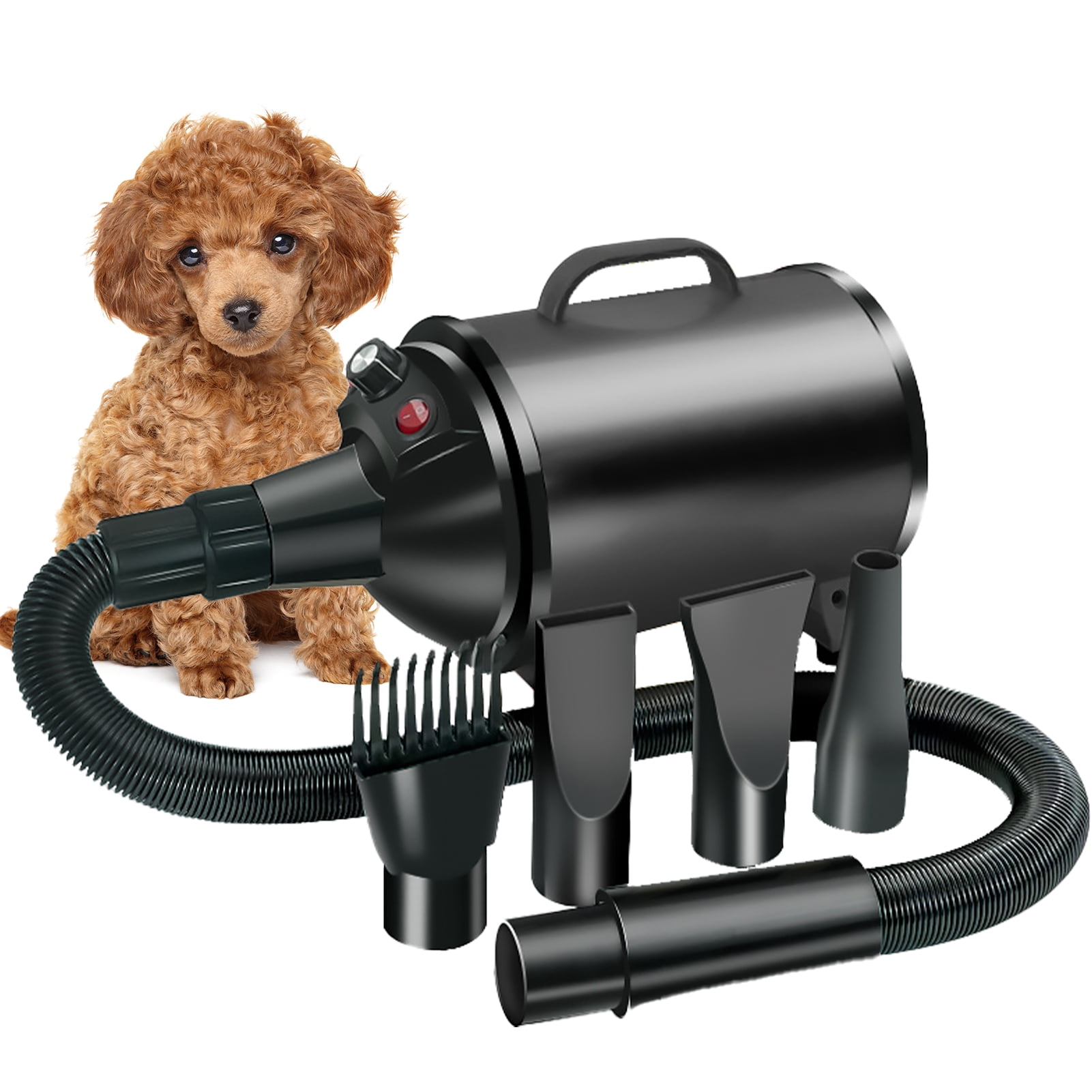HomeCozy Pet Dryer,2400W Pet Blow Dryer,Anti-Scald Speed Temperature ...