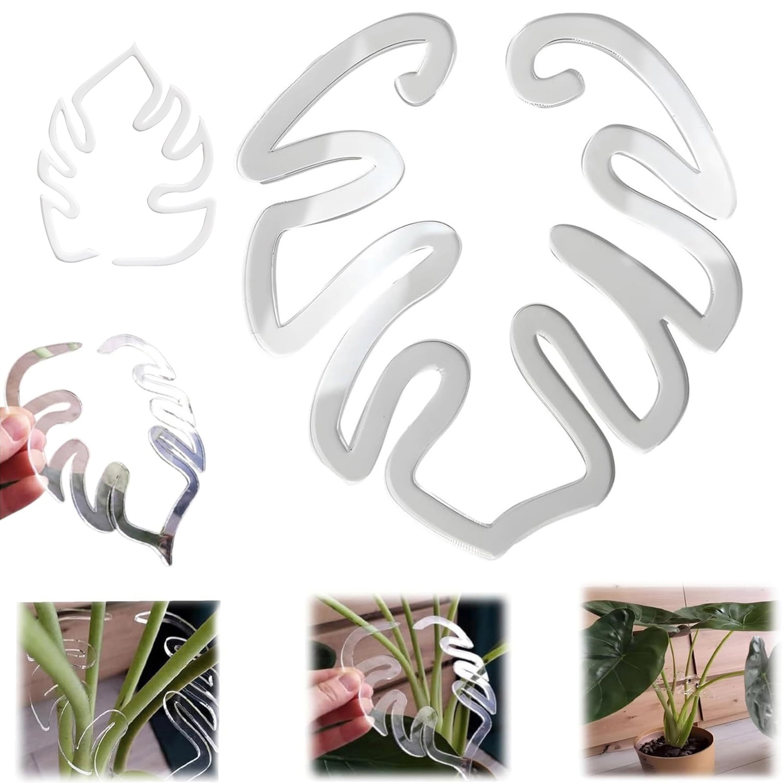 HomeCozy Plant Stem Support Acrylic Pothos Climbers Flower Stem Holder ...