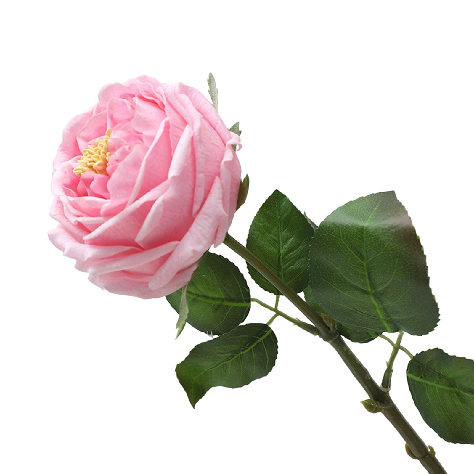 HomeCozy Single Branch Artificial Flower Realistic No Watering Non ...