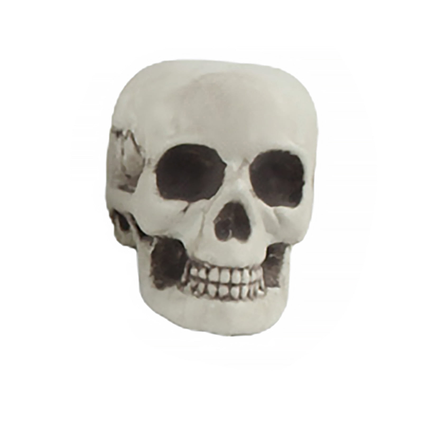 HomeCozy Skull Ornament Creative Delicate Realistic Human Skull Statue ...