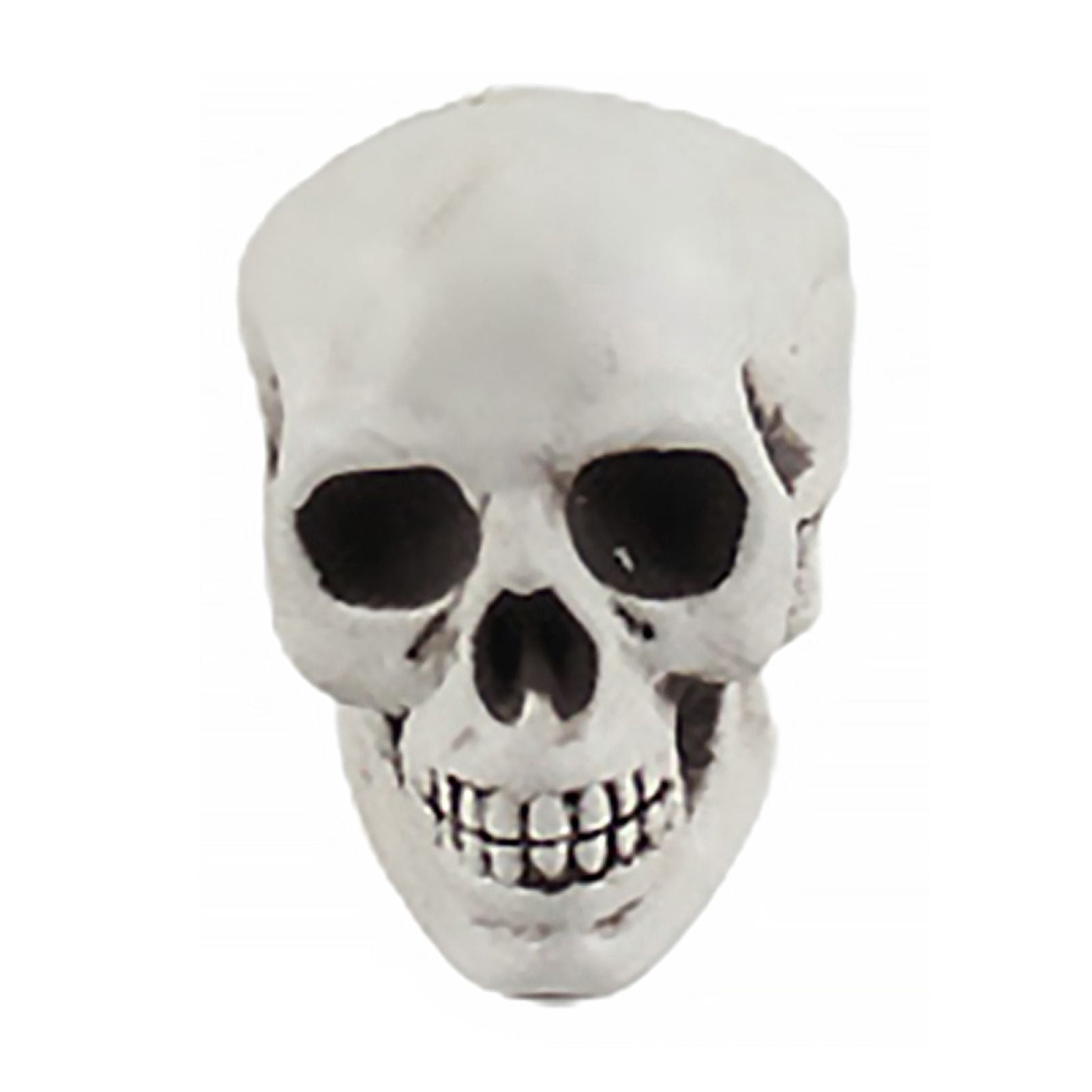 HomeCozy Skull Ornament Creative Delicate Realistic Human Skull Statue ...
