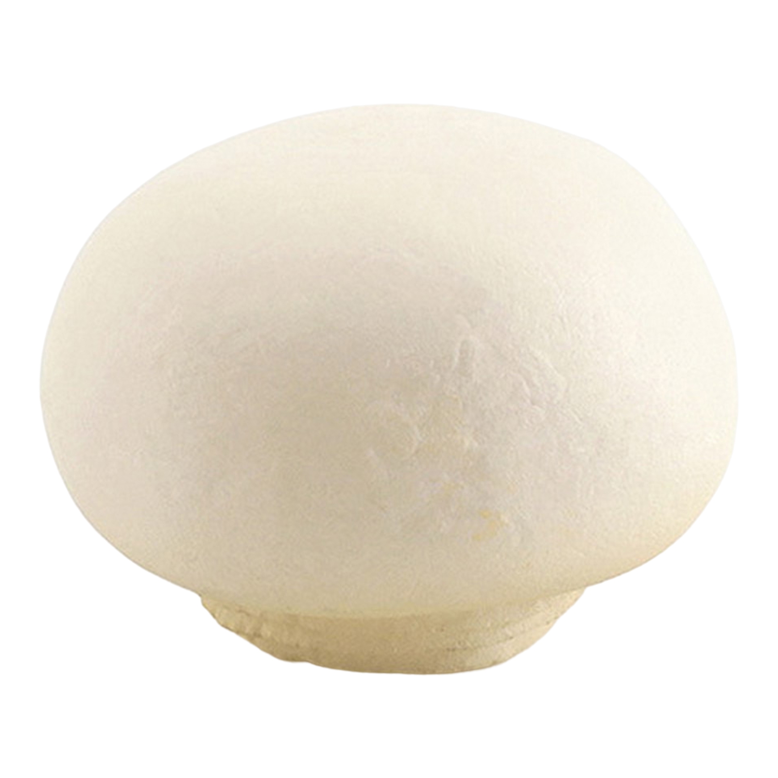 HomeCozy Vivid Fadeless Colorful Mushroom Figure Mini Simulation ...