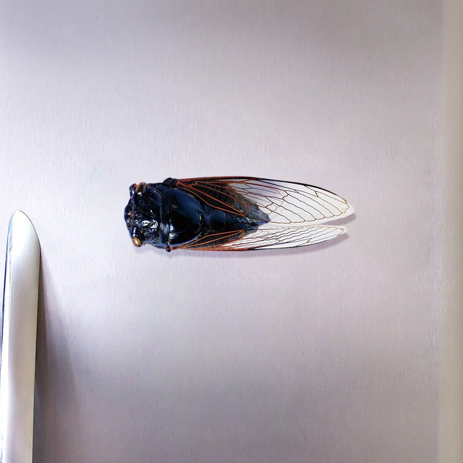 HomeKingdee Insect Crack Car Stickers Cute 3D Wasp Decal Car Sticker ...