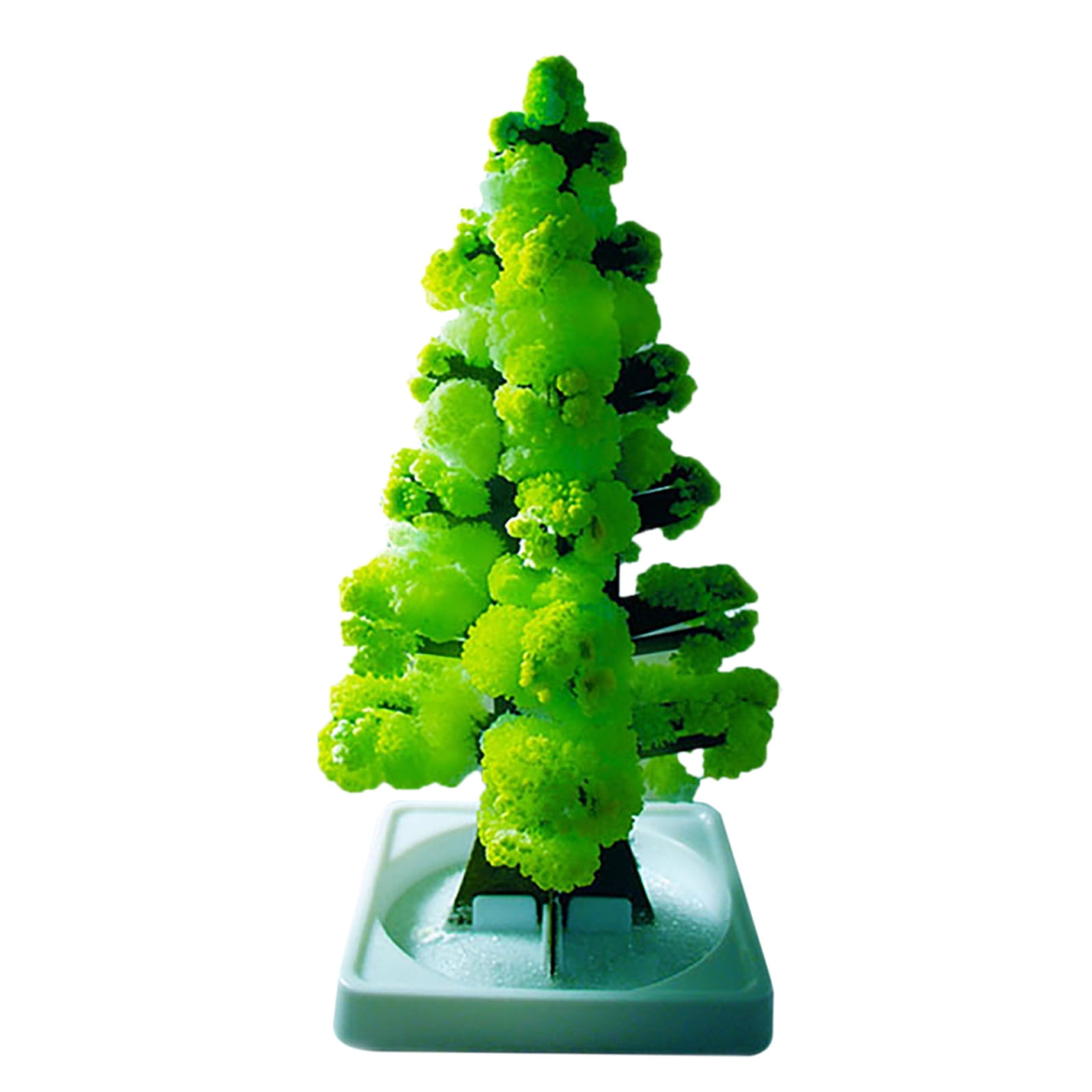 HomeNest Paper One Tree Set And Paper 100ML Tree On Tree Growing Three ...