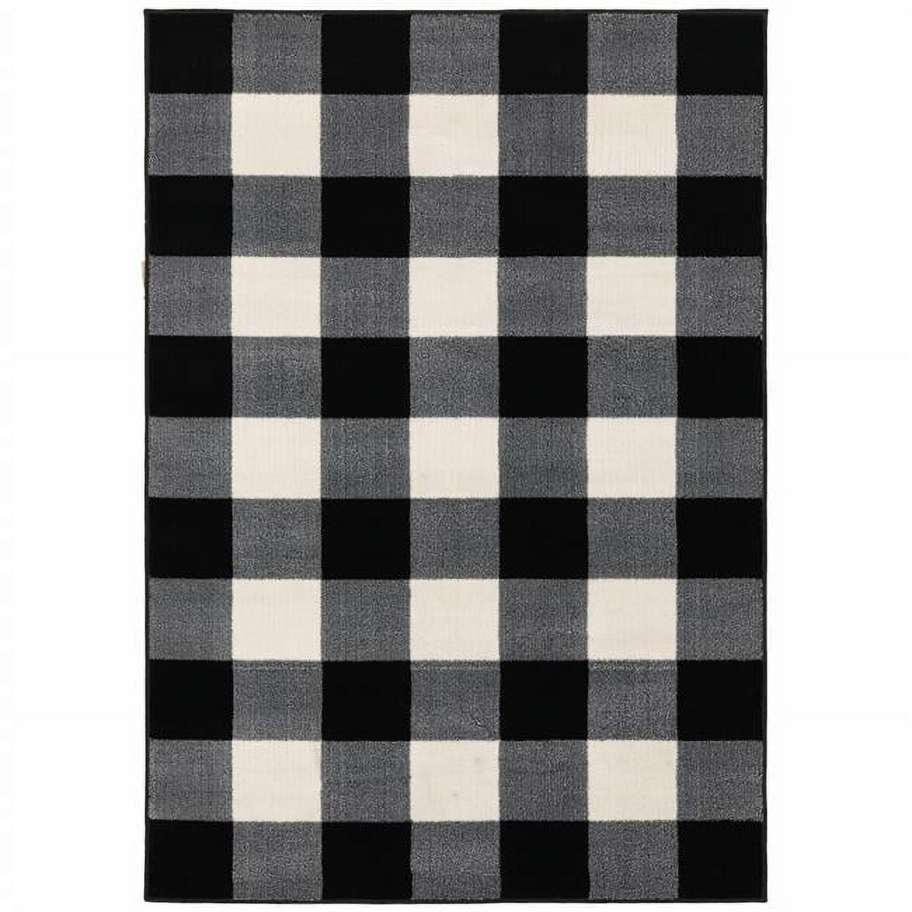 HomeRoots 4 x 6 ft. Black Monochromatic Gingham Pattern Indoor Area Rug ...