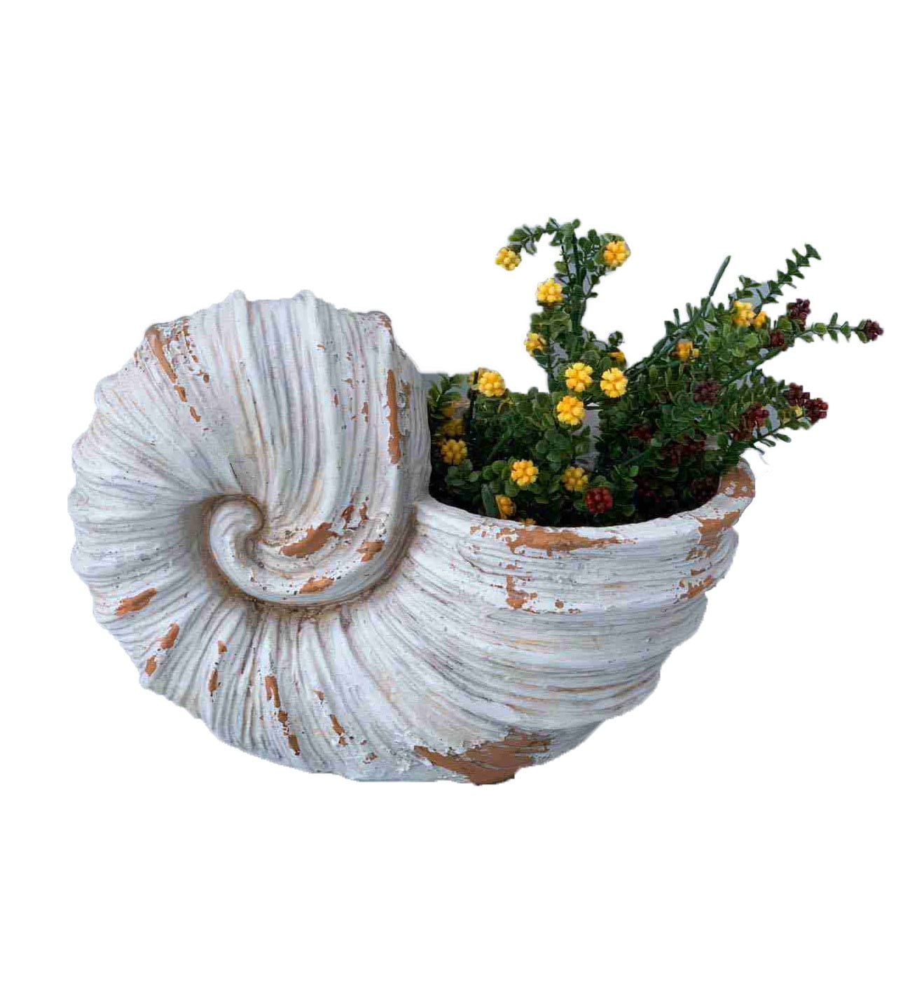 9" Distressed Cream and Terra Cotta Conch Shell Planter - Walmart.com