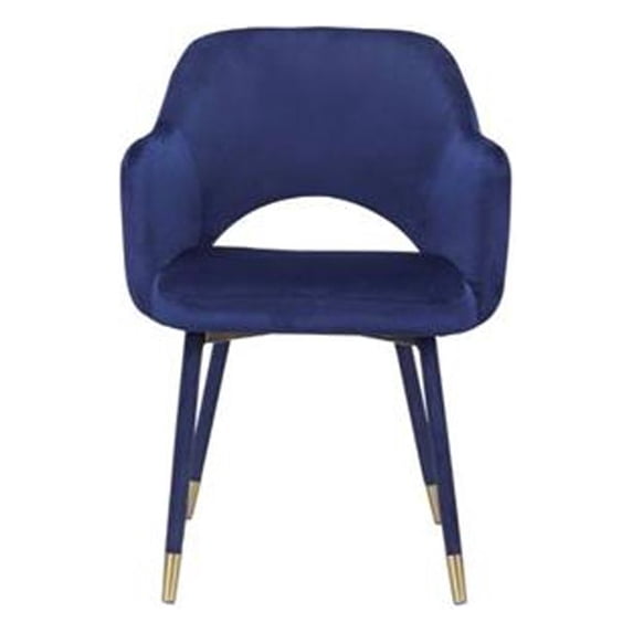 HomeRoots 486577 33 x 22 x 24 in. Ocean Blue Velvet & Gold Solid Color ...