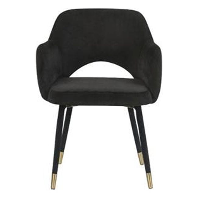 HomeRoots 486578 33 x 22 x 24 in. Black Velvet & Gold Solid Color ...