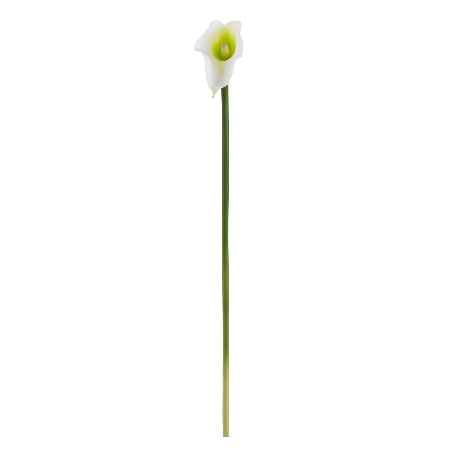 HomeStock 19.5In. Elegant Escape Lily Artificial Flower (Set Of 12 ...