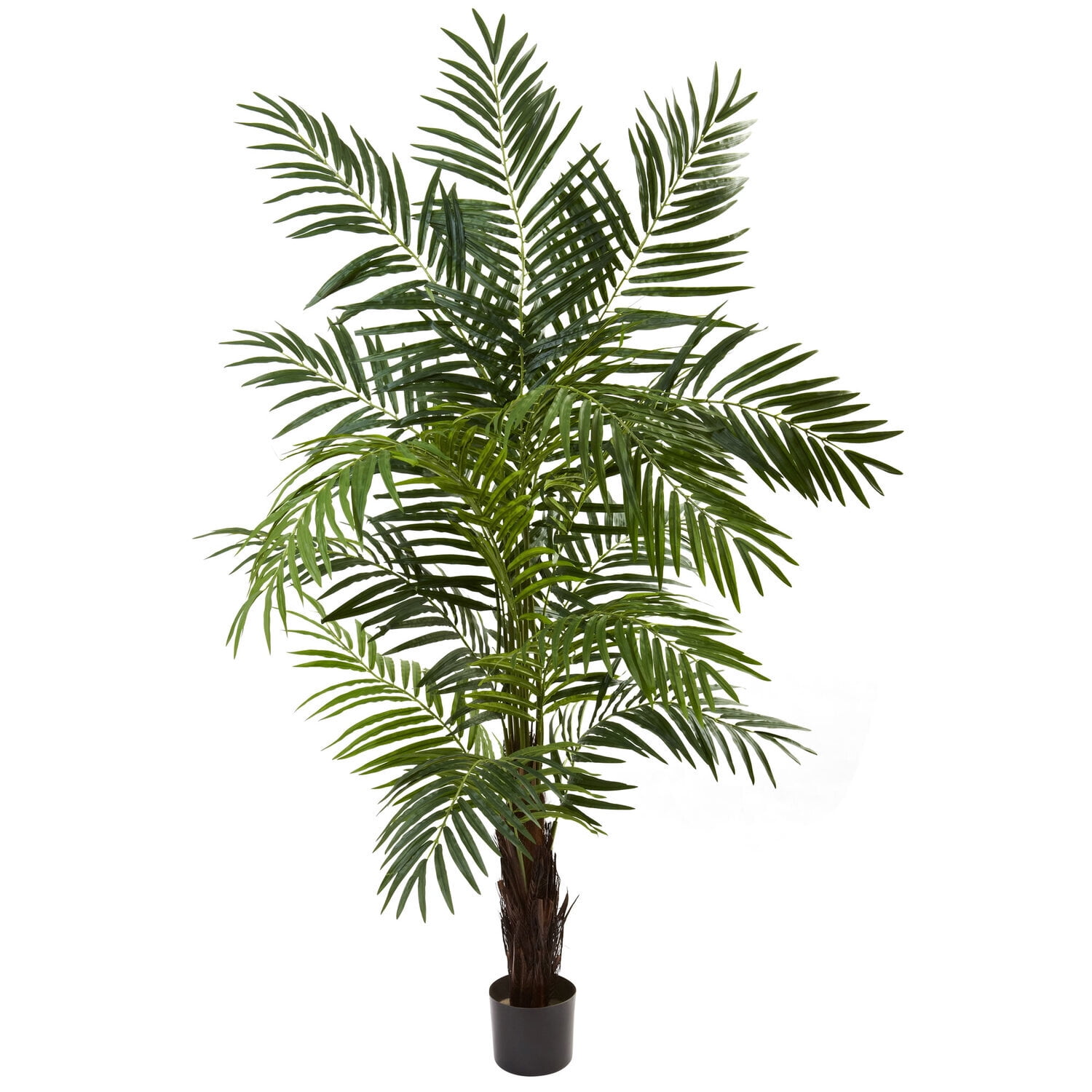 HomeStock 6Ft. Renaissance Revival Palm Tree - Walmart.com