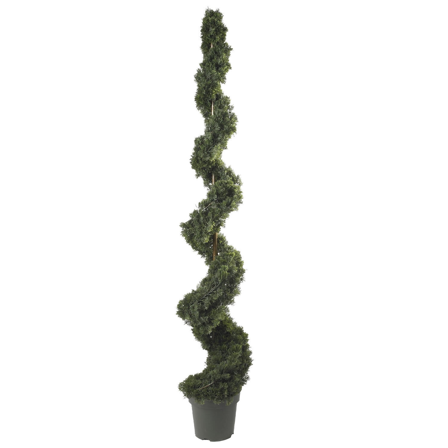 HomeStock 6Ft. Rococo Romance Spiral Silk Tree (Indoor/Outdoor ...