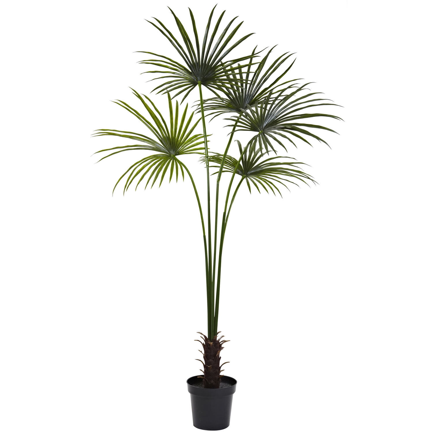HomeStock Art Nouveau Allure 7Ft. Fan Palm Tree Uv Resistant (Indoor ...