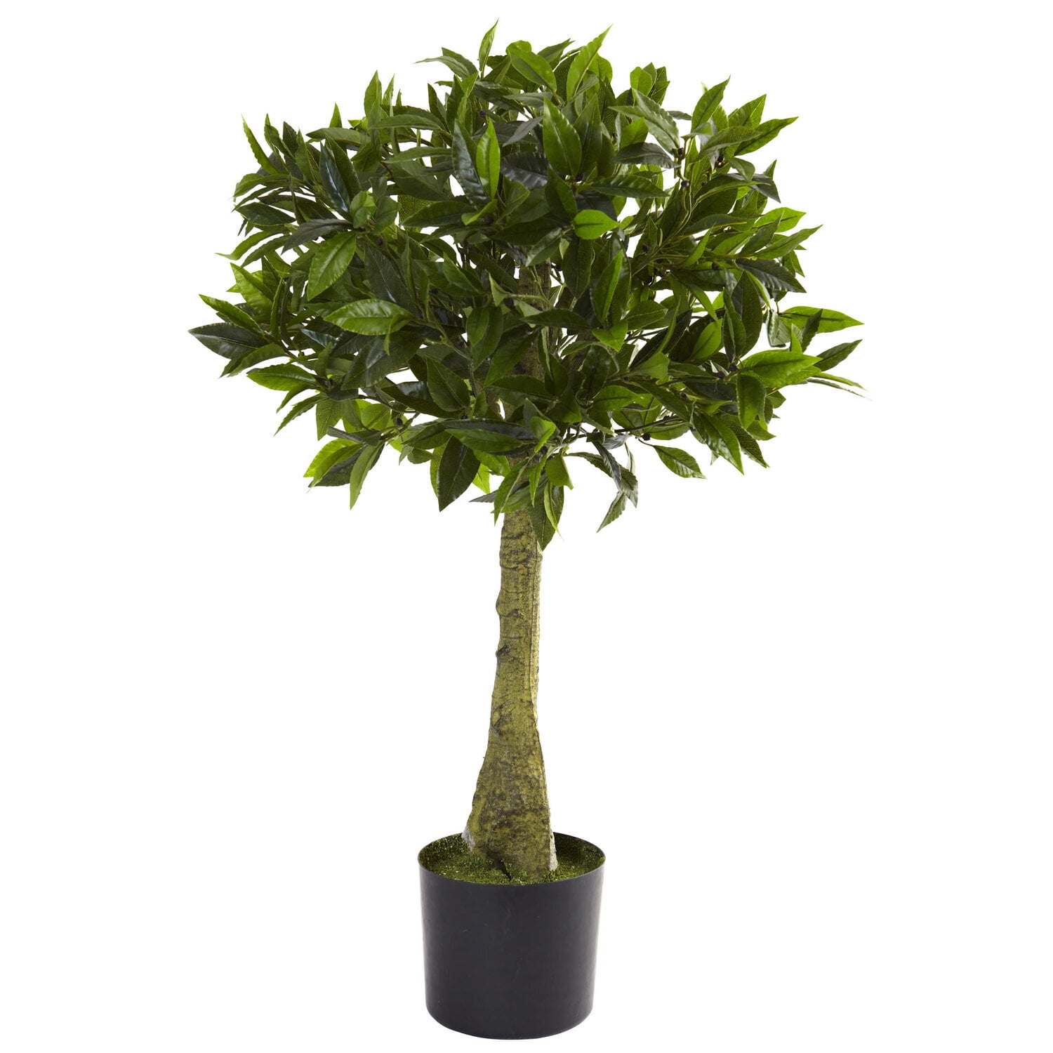 HomeStock Asian Aesthetics 3Ft. Bay Leaf Topiary Uv Resistant (Indoor ...