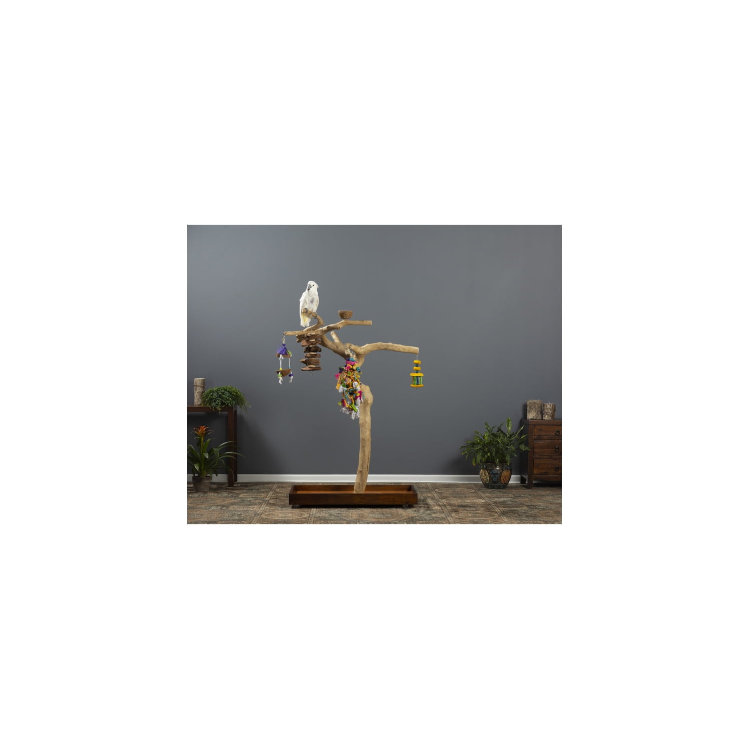 HomeStock Asian Fusion CoffeeWood Tree-Style Parrot Play Stand with ...