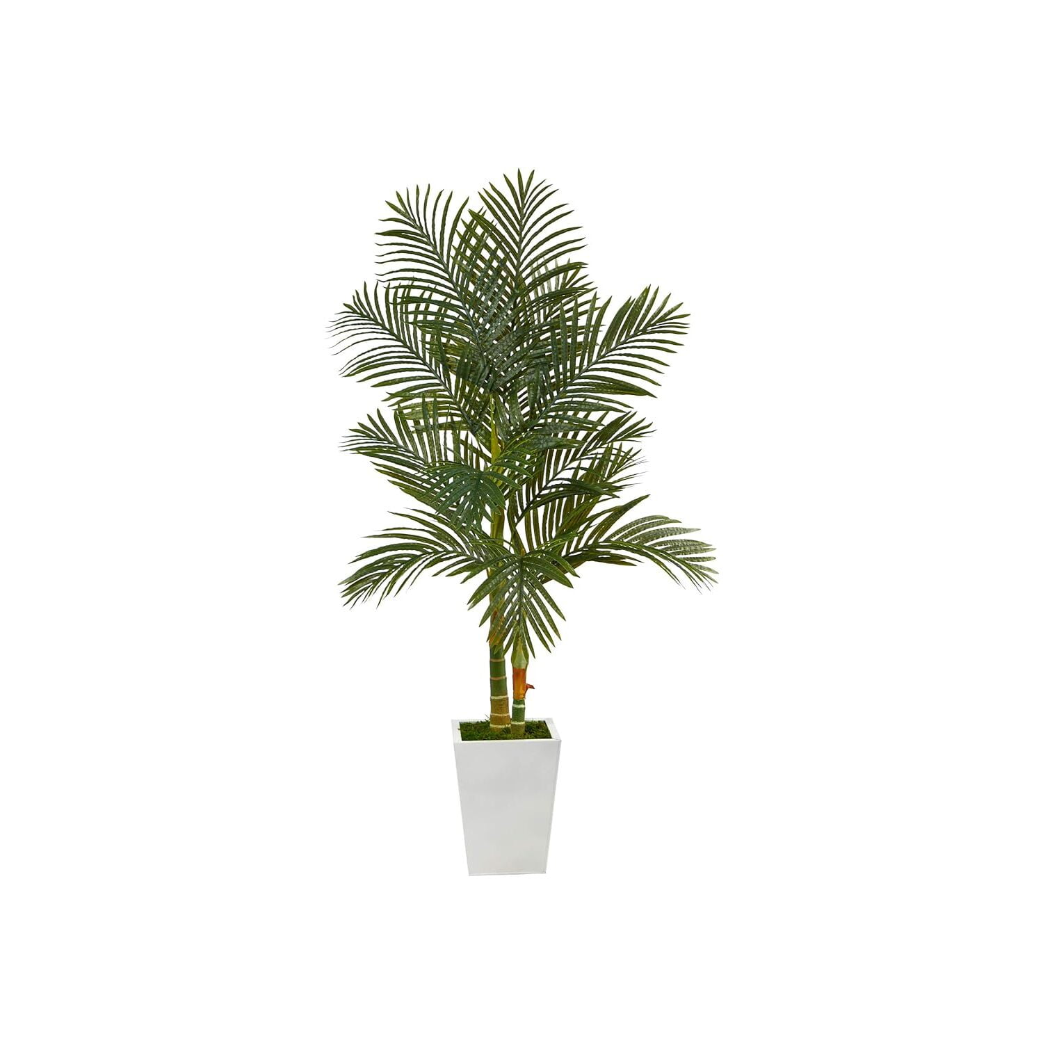 HomeStock Handmade Home 5.5Ft. Golden Cane Artificial Palm Tree In ...
