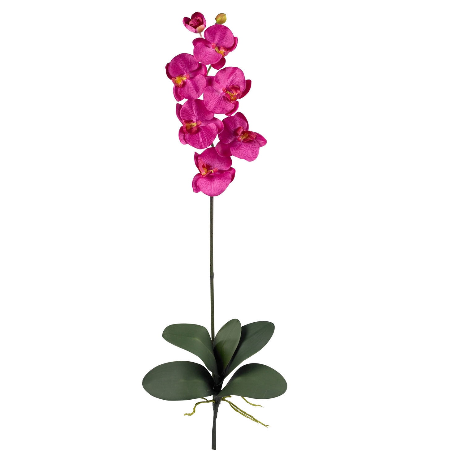 HomeStock Naturally Nice Stem (Set Of 12) - Walmart.com